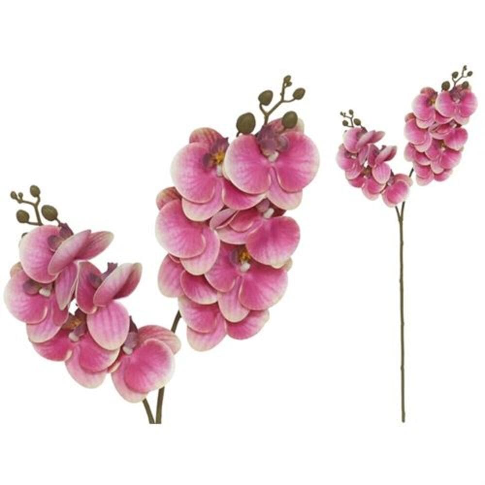 Alpha55 - Tige d’orchidée Real Touch à 12 fleurs – Alpha 55