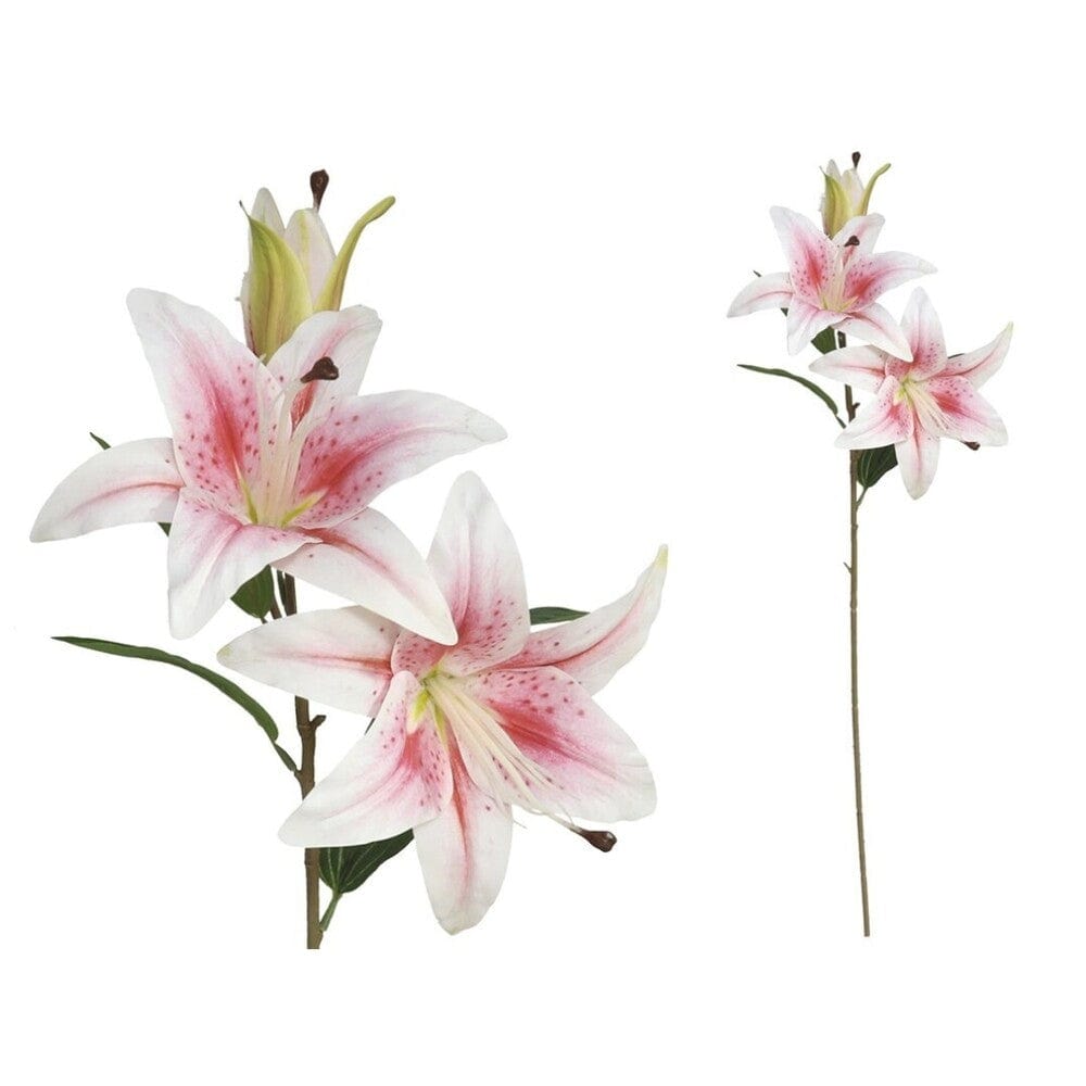 Alpha55 - Tige de lilium Real Touch – Alpha 55